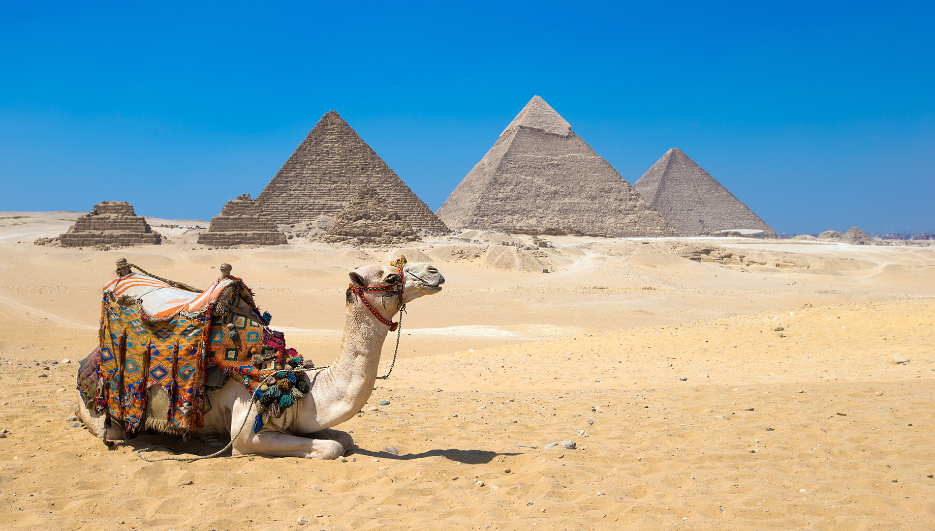 Cheap flights to Cairo | LOT.com